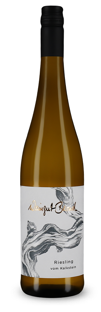 Bernd Riesling vom Kalkstein trocken 2023